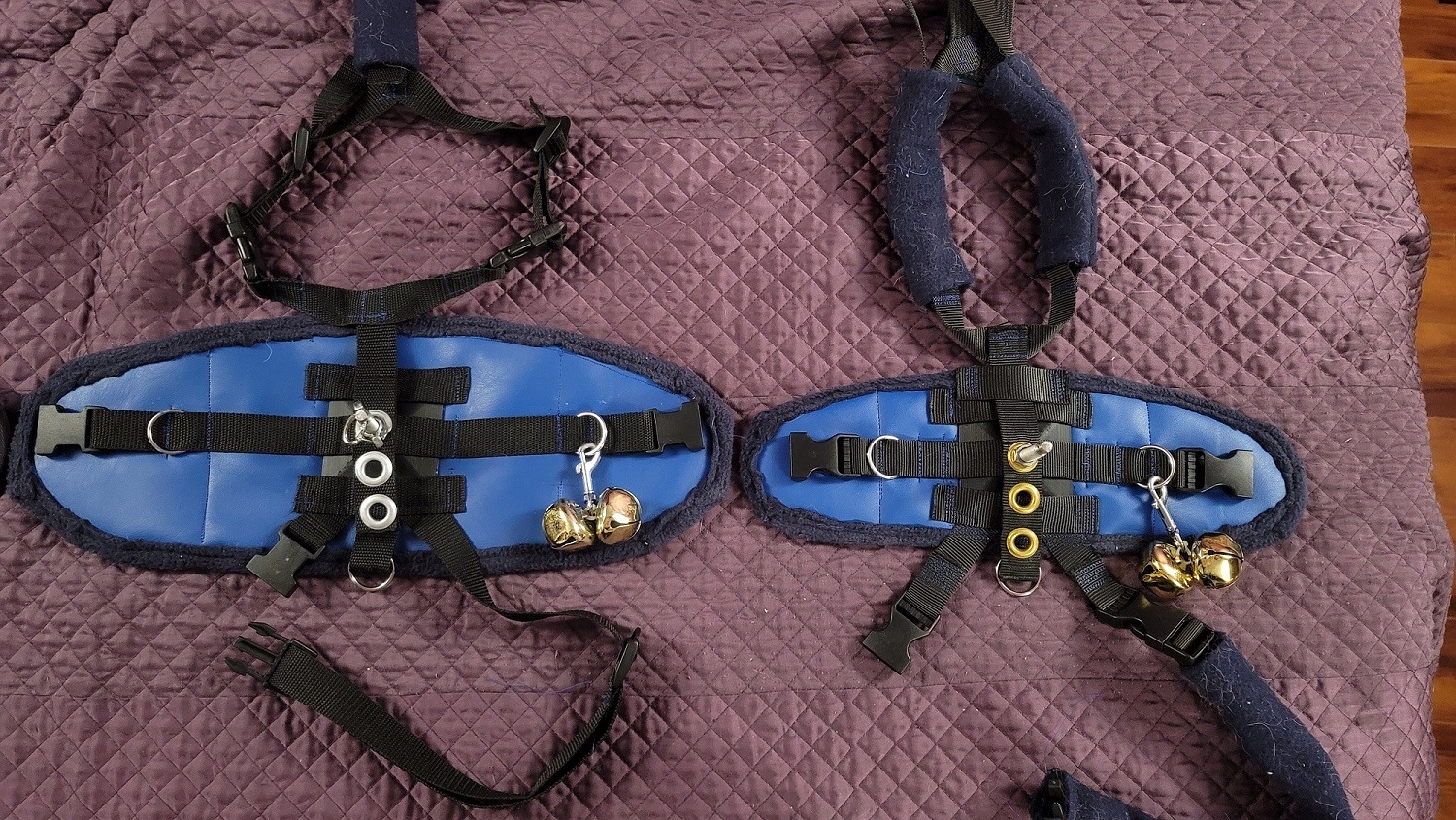 Newpanion Sulky and Dog Driving Equipment - Newpanion